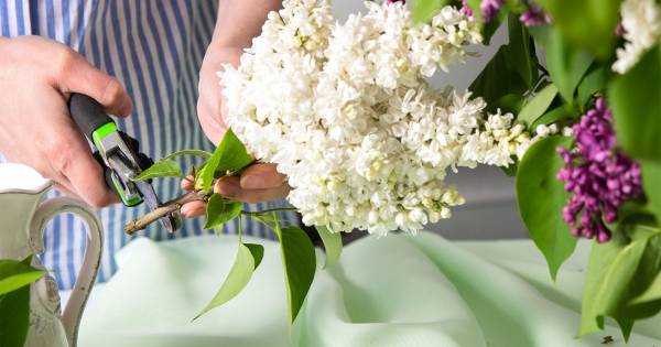 Tips for a Longer-Lasting Fresh Bouquet | Petite Fleur