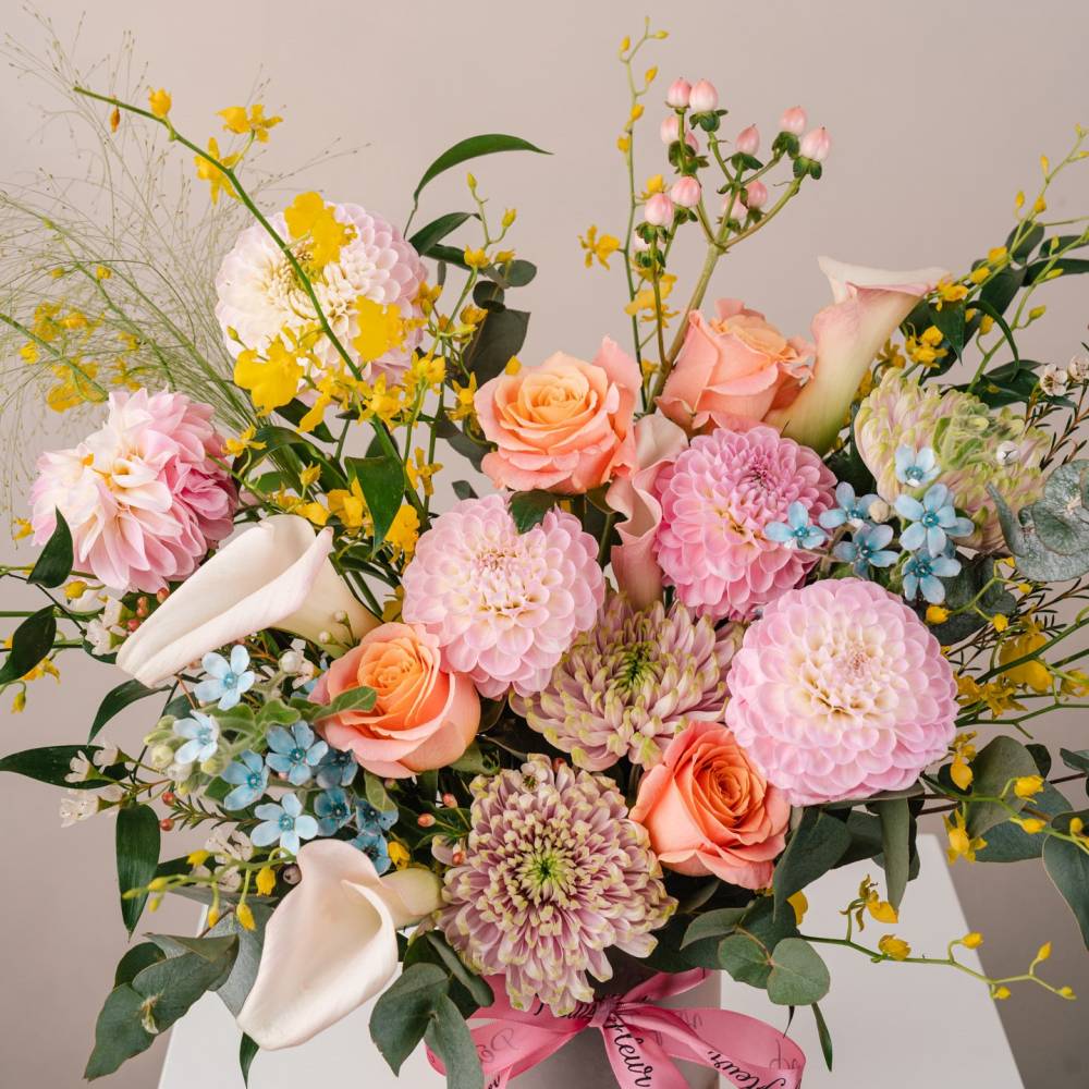 Dahlia Surprise | Petite Fleur