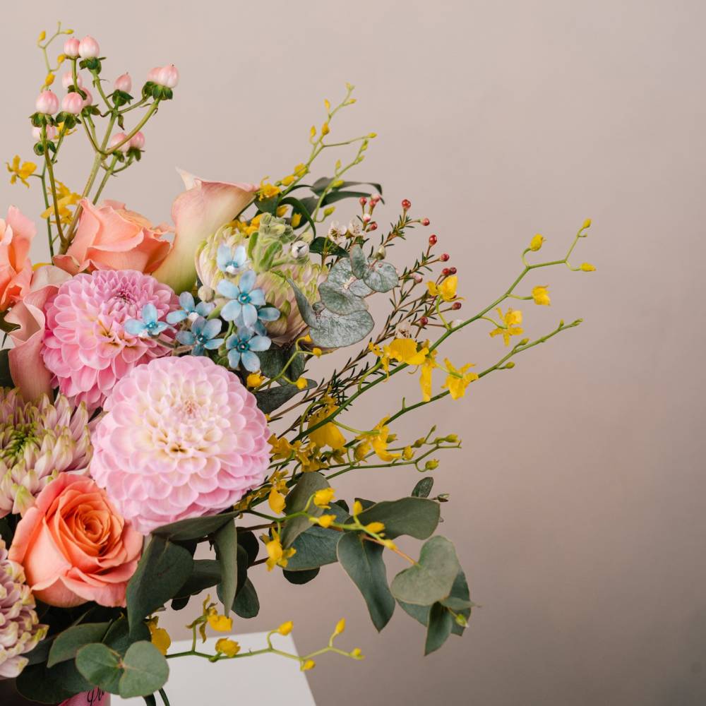 Dahlia Surprise | Petite Fleur