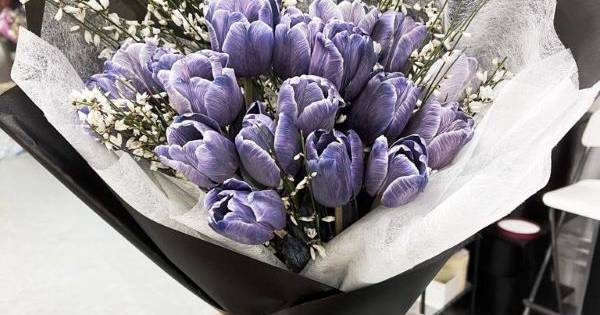 Lavender Tulip Bouquet | Petite Fleur