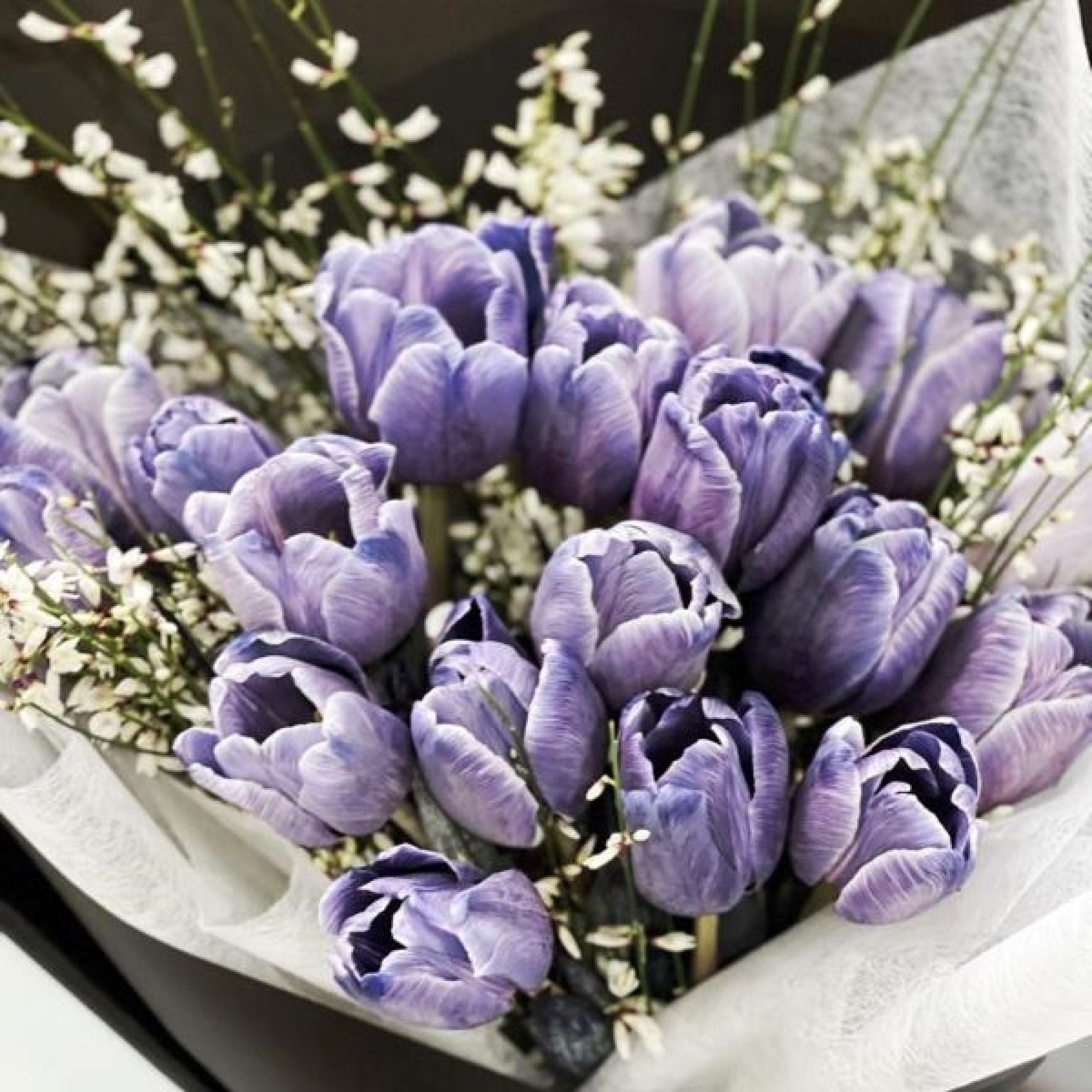 Tulip Bouquet Singapore | Buy Flowers Online | Petite Fleur